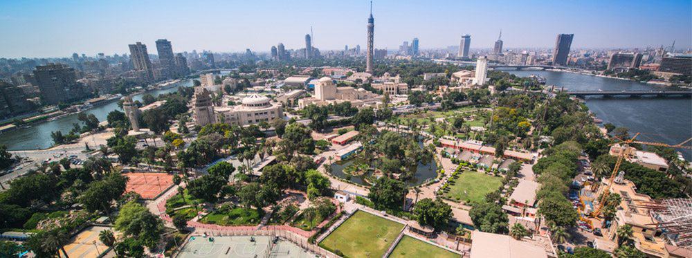 The Best International Schools in Cairo